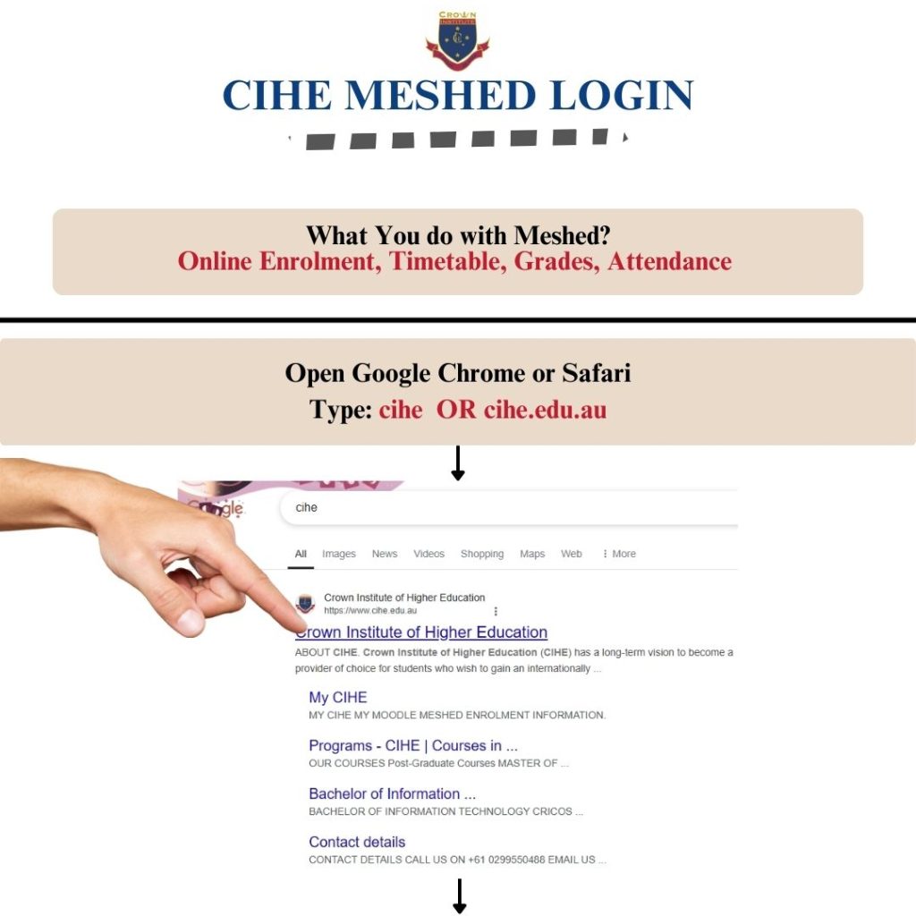 Module 2 – Meshed – ORIENTATION PORTAL